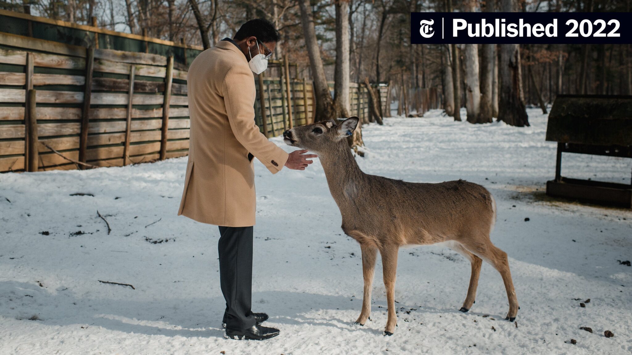 Are Deer Afraid of Humans? Unveiling Their Secret Fears - Explore the ...