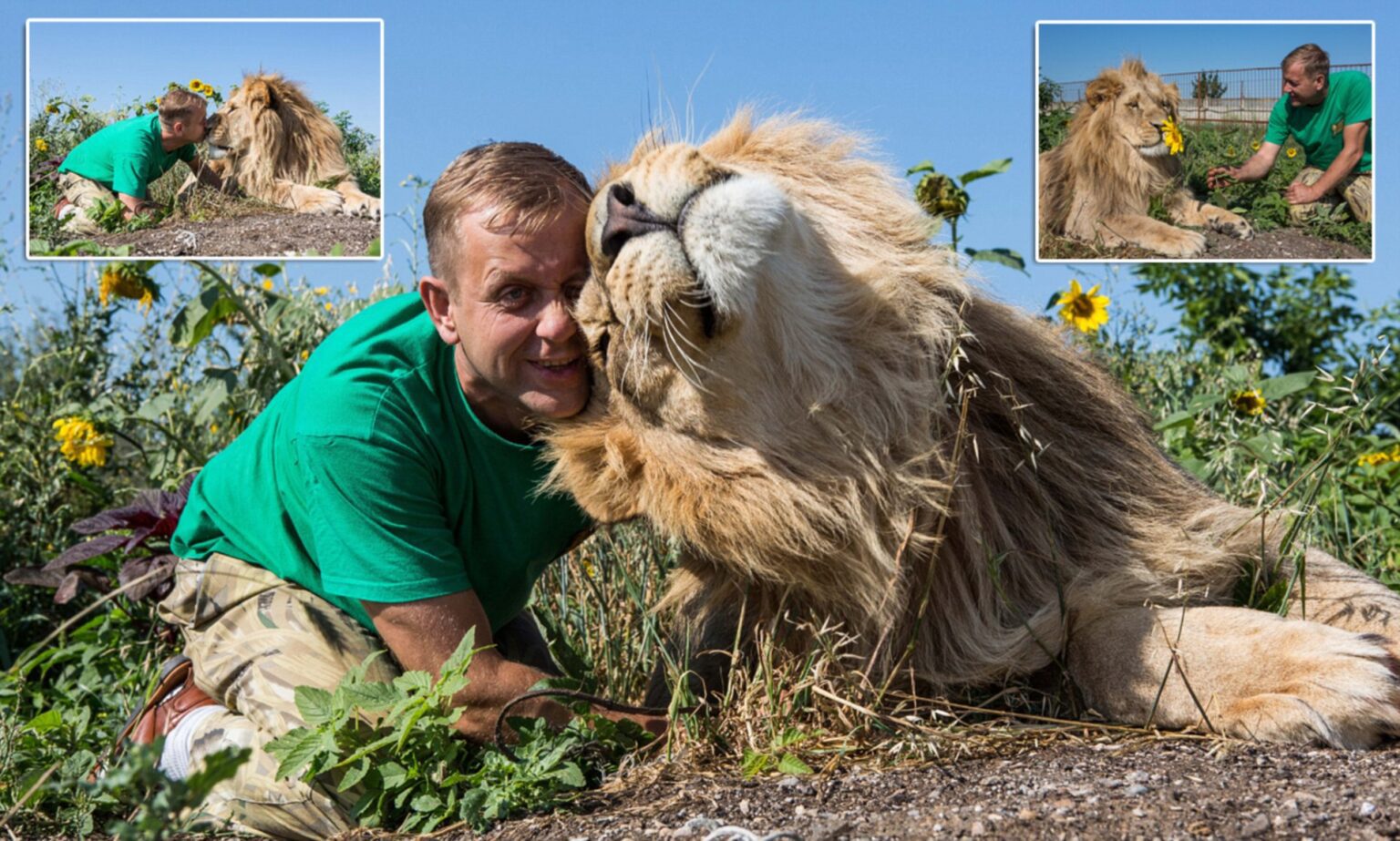 Are Lions Friendly - Explore the Best Outdoor Gear, Animal Guides, and ...