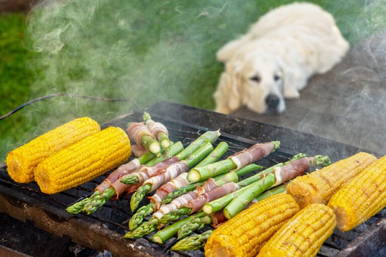 Can Horses Eat Asparagus - Explore the Best Outdoor Gear, Animal Guides ...