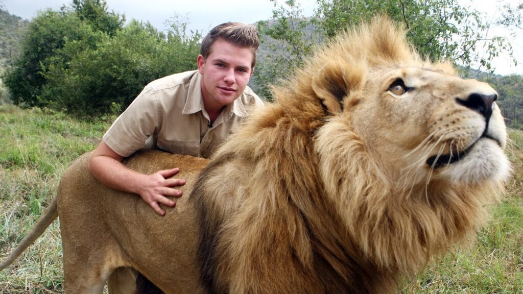 Can You Train a Lion? The Truth Behind Taming Big Cats - Explore the ...