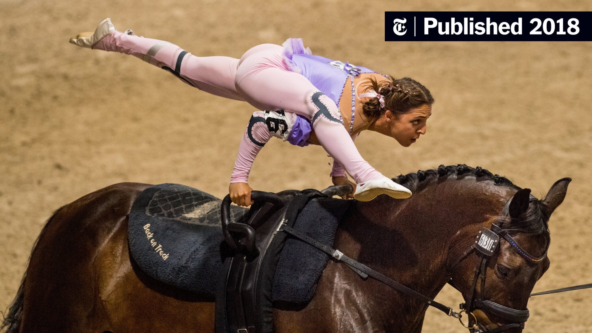 How to Vault on a Horse - Explore the Best Outdoor Gear, Animal Guides ...