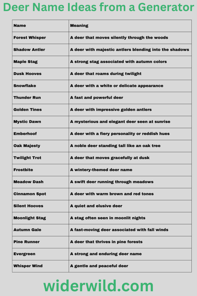 Best Deer Name Ideas – Unique, Cute & Fun Names for Every Deer ...