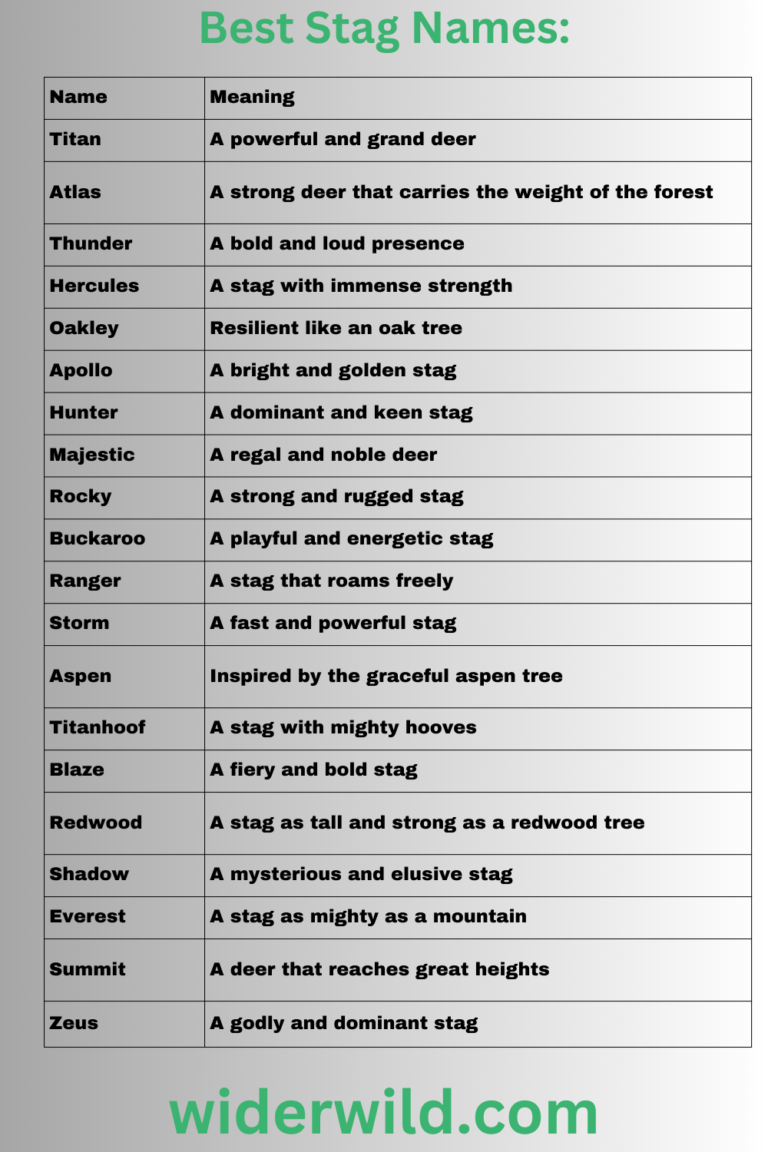 Best Deer Name Ideas – Unique, Cute & Fun Names for Every Deer ...