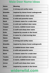 Best Deer Name Ideas – Unique, Cute & Fun Names for Every Deer ...