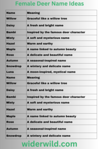 Best Deer Name Ideas – Unique, Cute & Fun Names for Every Deer ...