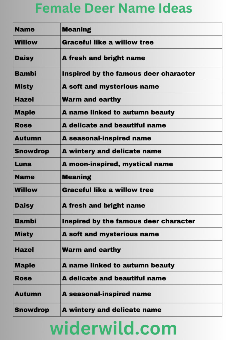 Best Deer Name Ideas – Unique, Cute & Fun Names for Every Deer ...