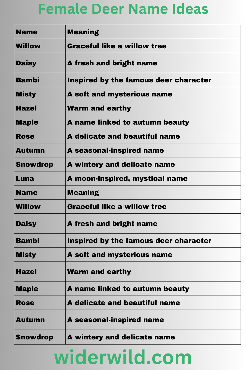 Best Deer Name Ideas – Unique, Cute & Fun Names for Every Deer ...