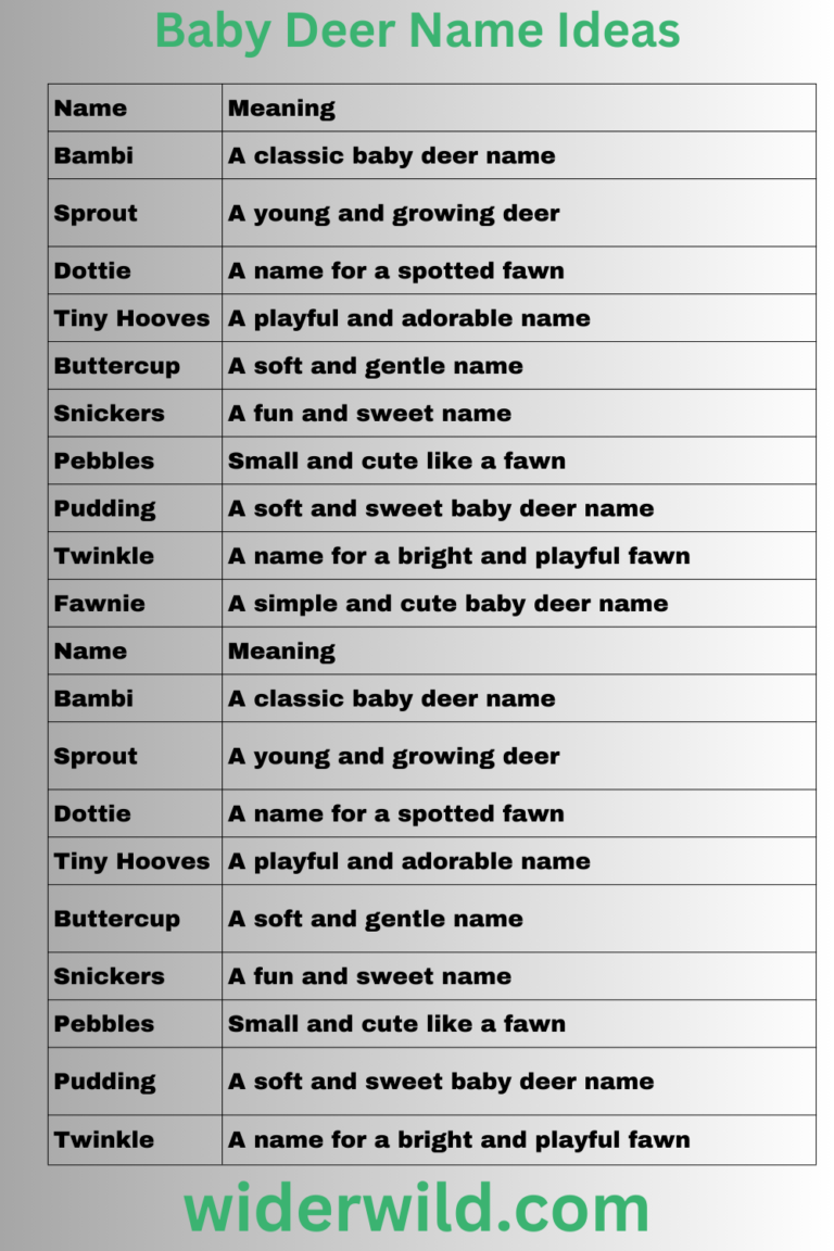 Best Deer Name Ideas – Unique, Cute & Fun Names for Every Deer ...
