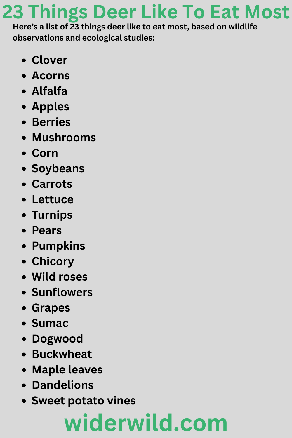 What is a Deer’s Primary Food? Their Diet in the Wild - Explore the ...