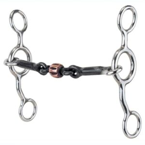Best Bit for Roping Horse: Top Choices for Equestrian Enthusiasts ...
