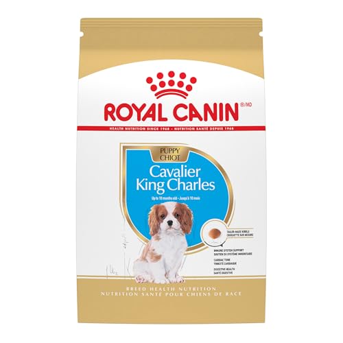 Best Dog Food for Cavapoos: Top Picks for Optimal Health - Explore the ...