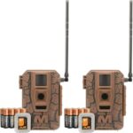 Best 6 Cellular Trail Cameras: Smart Wildlife Monitoring Made Simple ...